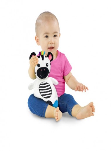 Baby Einstein Zen the Zebra Sensory Plush BPA-free Teether | The Toy ...
